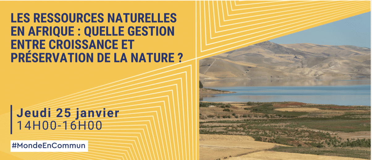Développement Des Ressources Naturelles En Afrique – KSSBPM